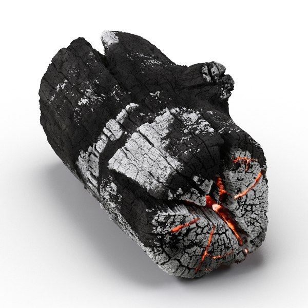 3d charred log 2