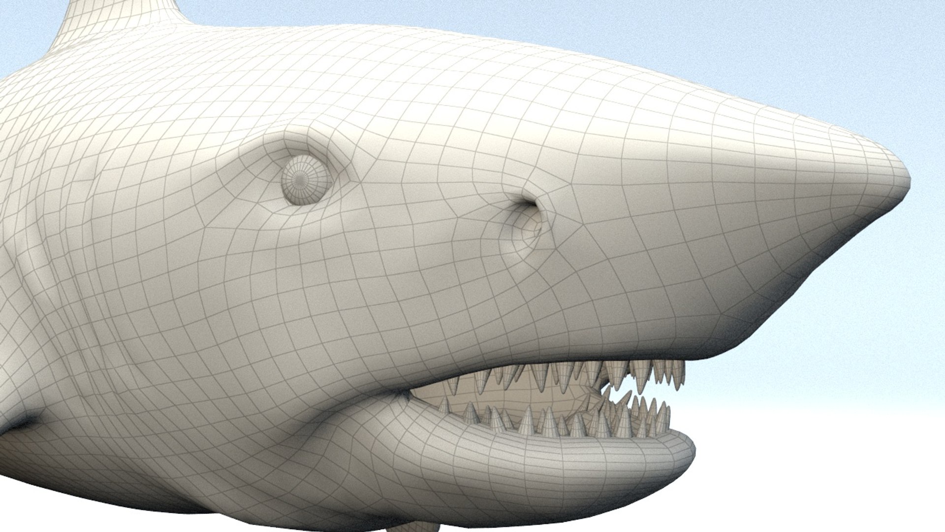 White Shark Model - TurboSquid 1729572