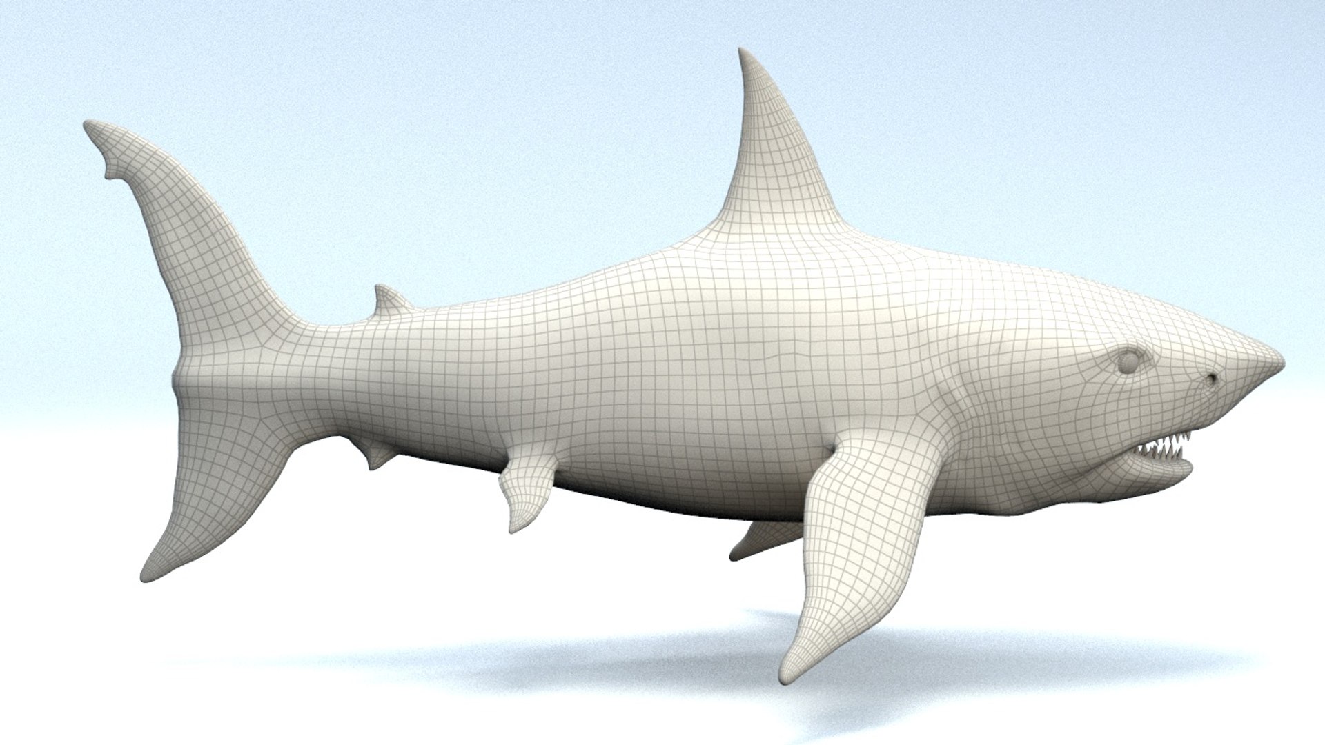 White Shark Model - TurboSquid 1729572