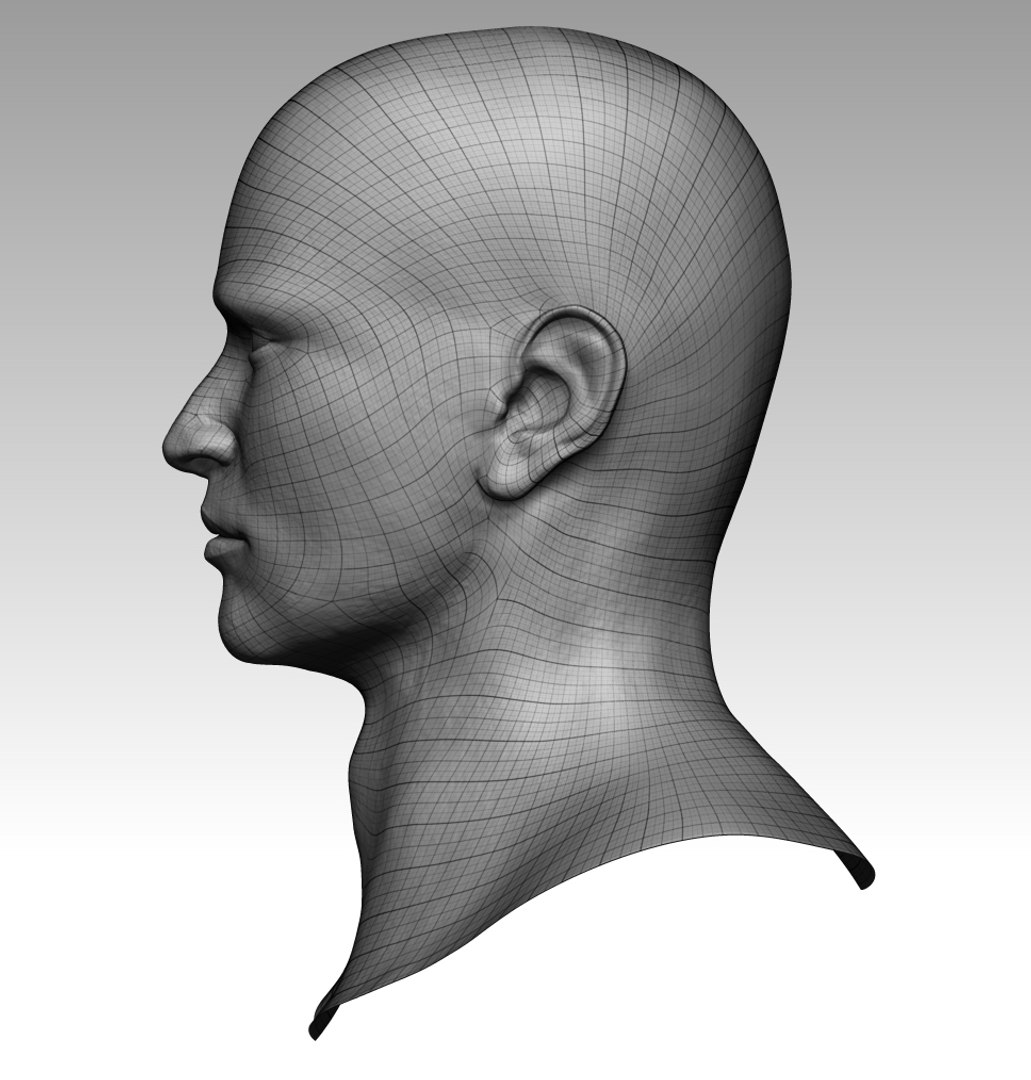 Zbrush Man Head 3D - TurboSquid 1216267