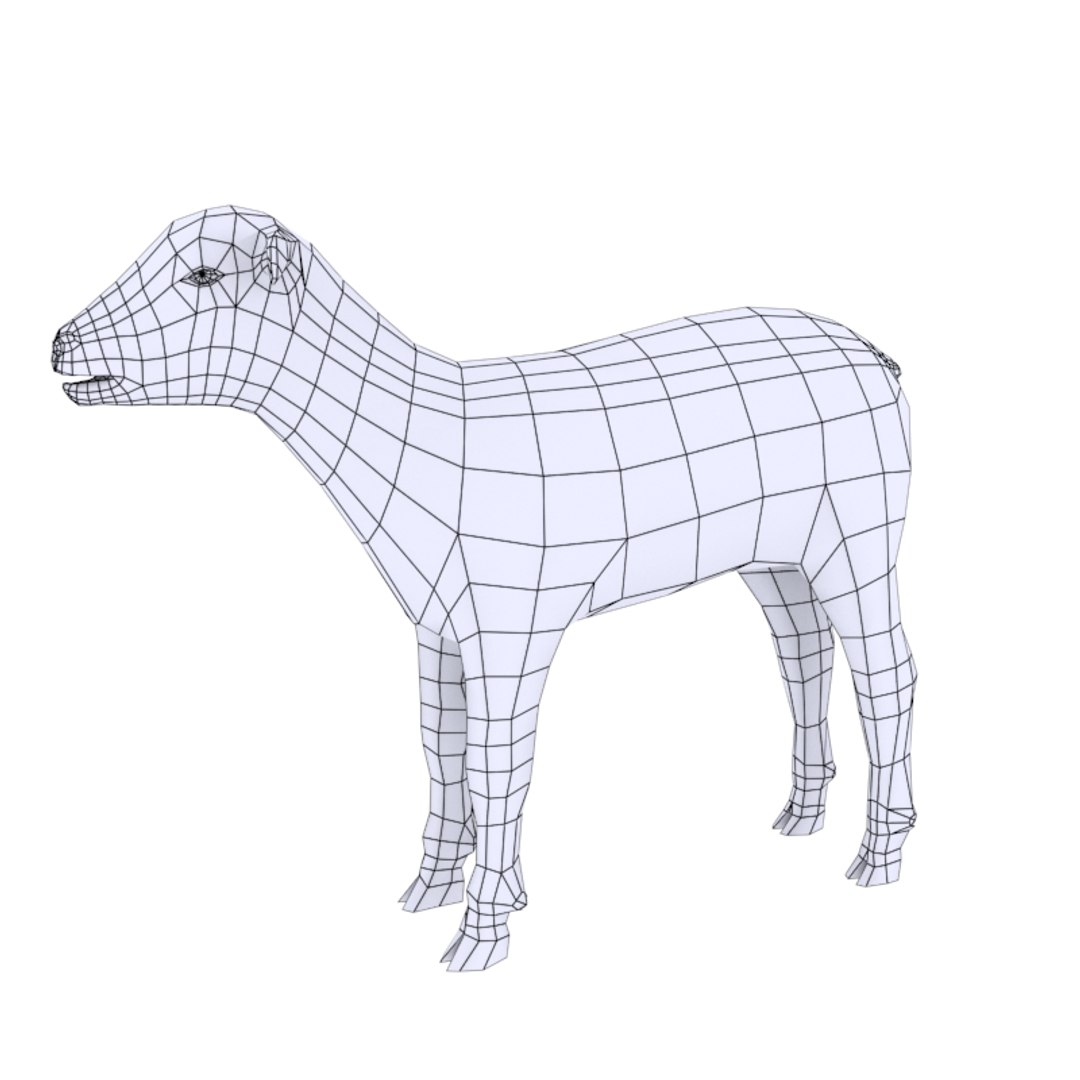 3D Lamb Sheep - TurboSquid 1165387