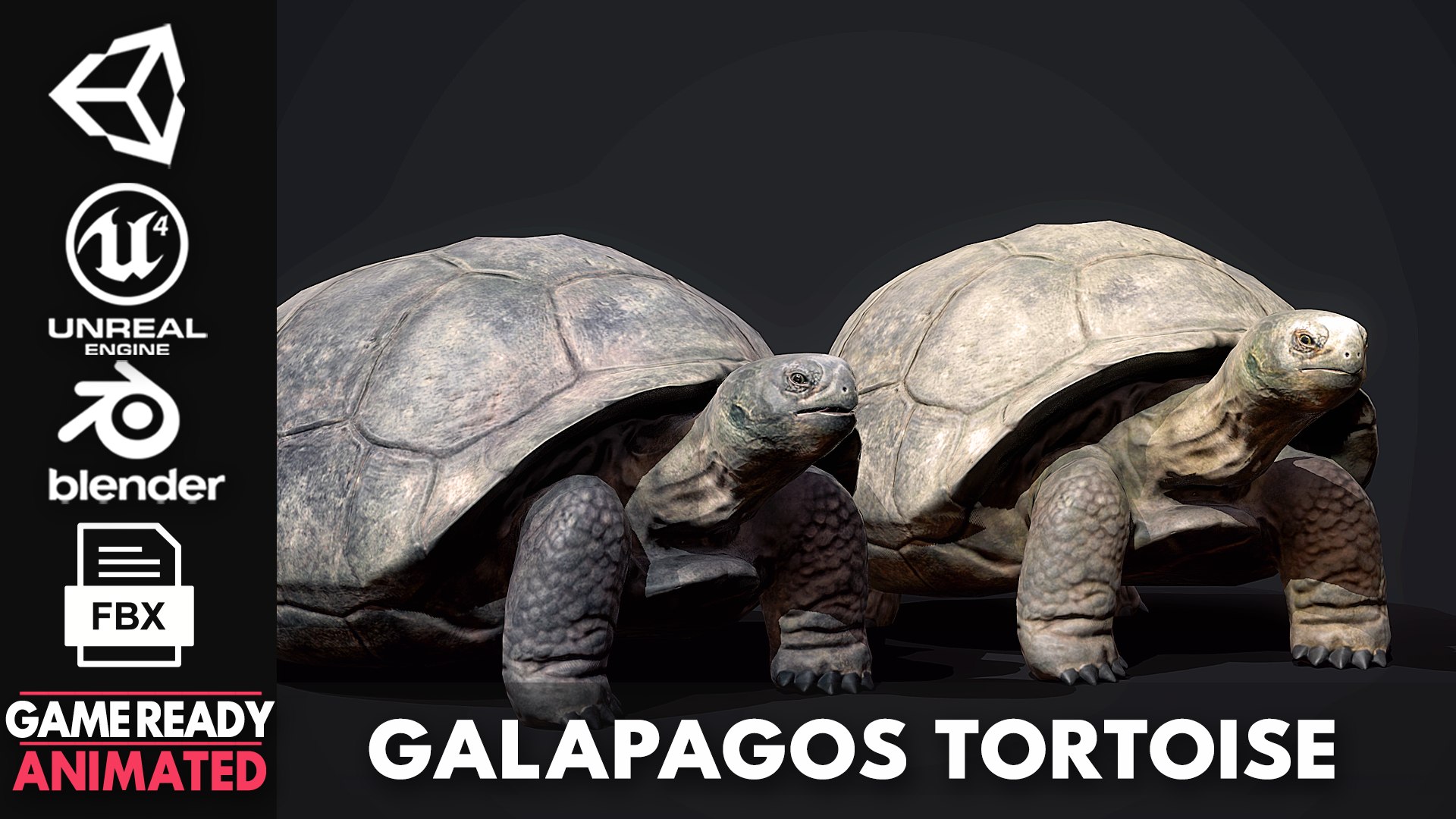 Galapagos Tortoise - Game Ready 3D Model - TurboSquid 1752128