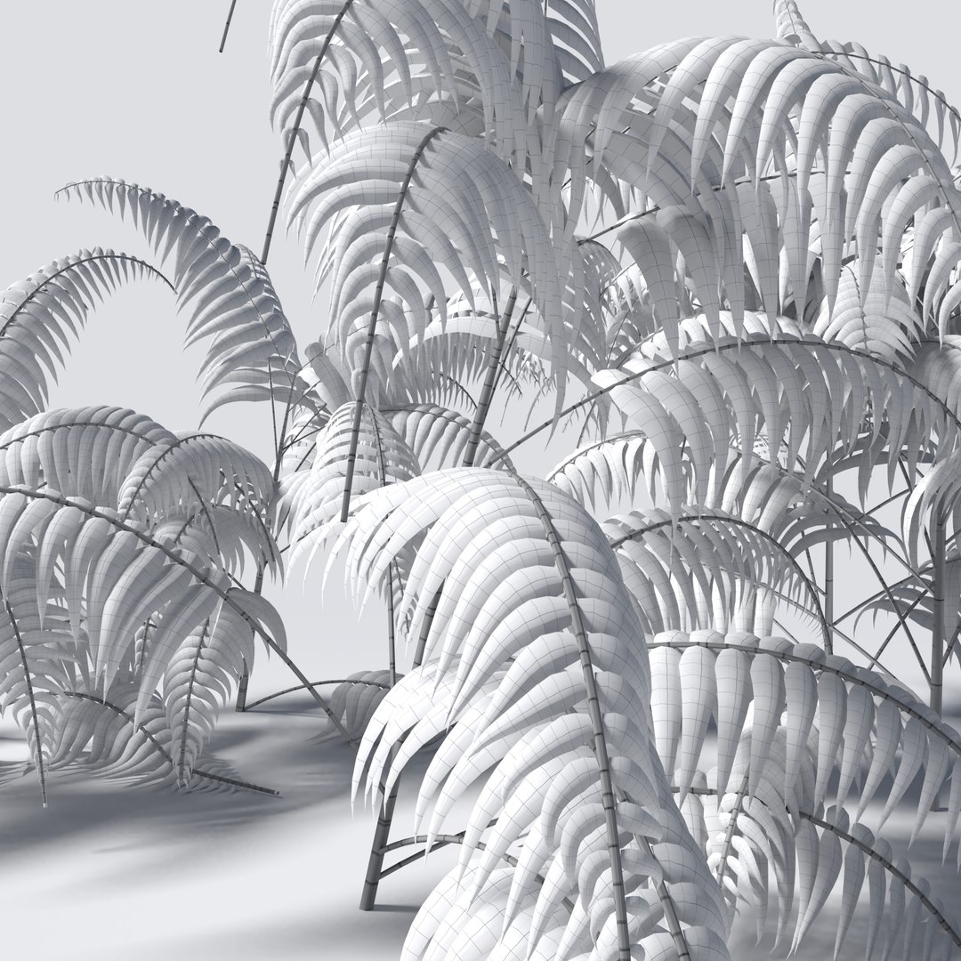 3D Fern Pack - TurboSquid 1343253