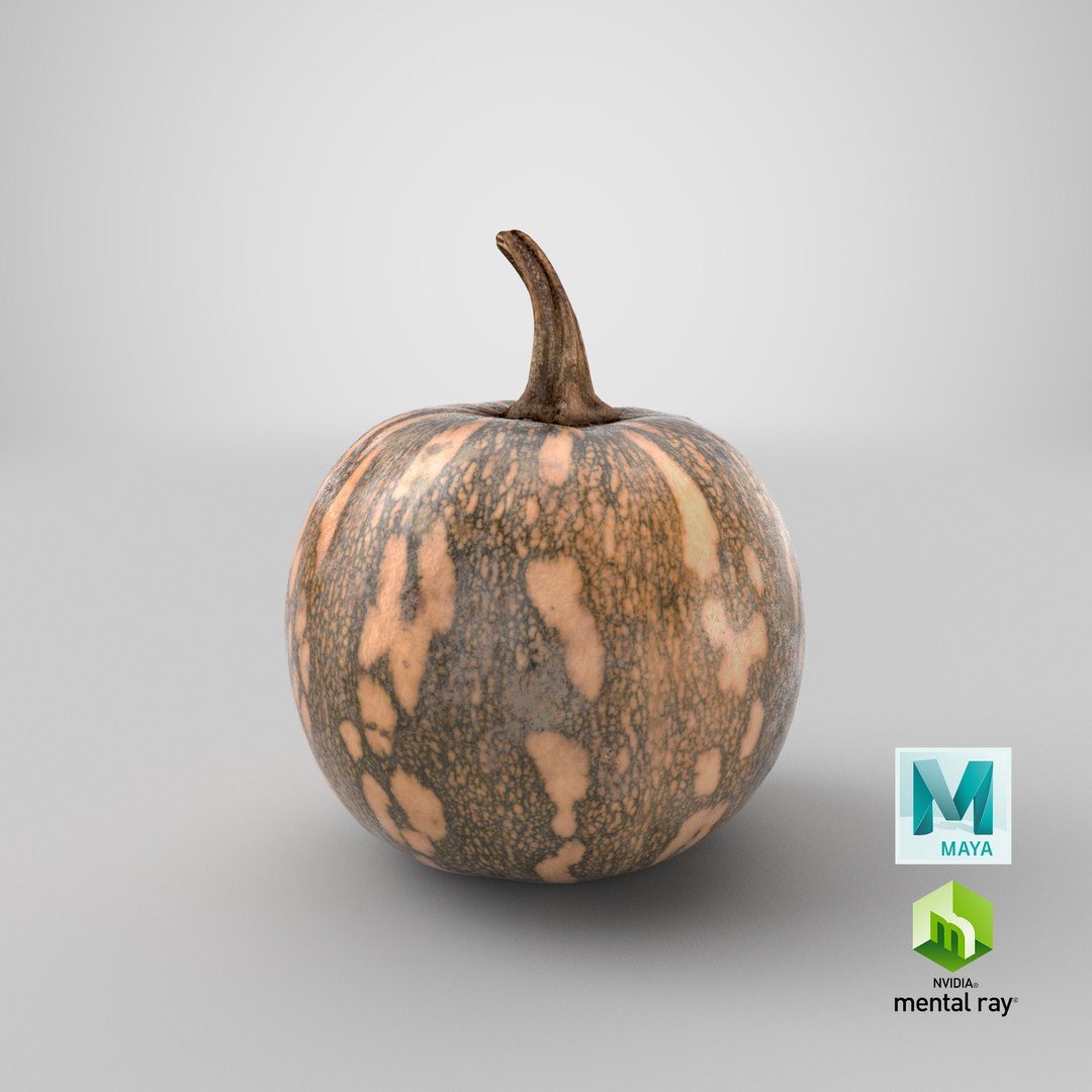 Little Pumpkin 3D - TurboSquid 1494669