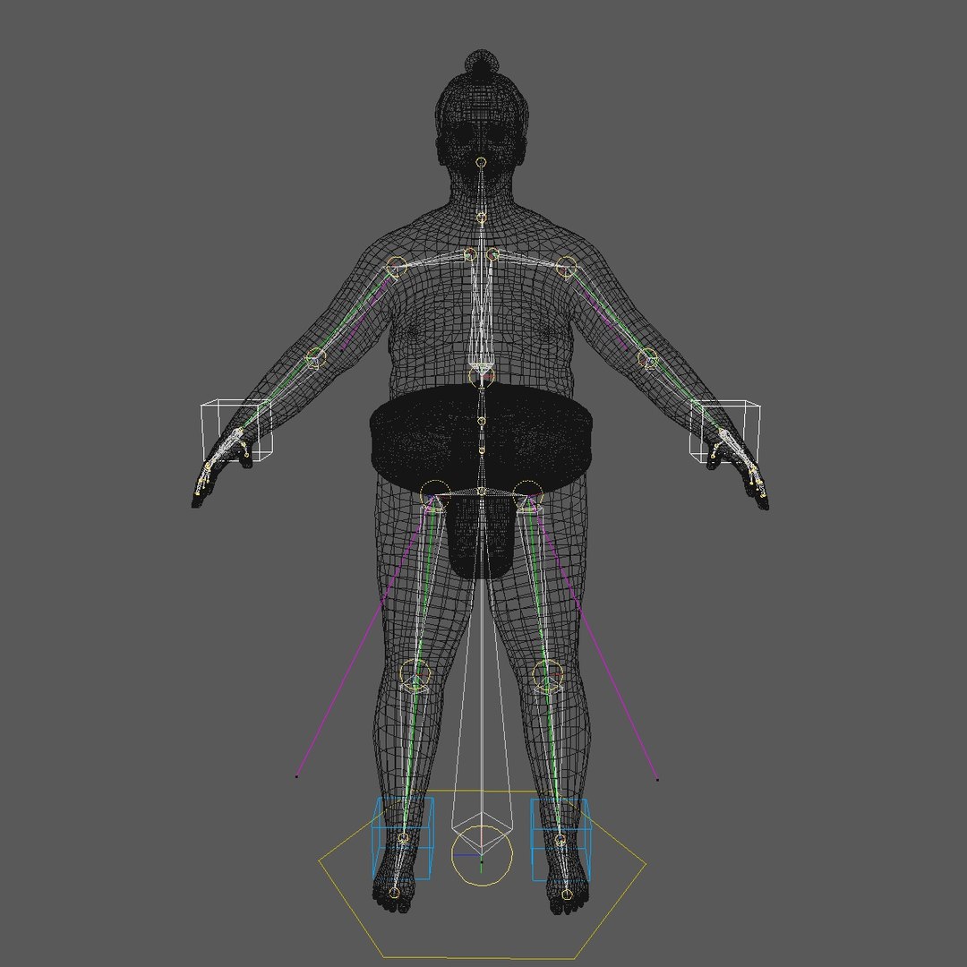 Realistically rigged sumo wrestler model - TurboSquid 1258083