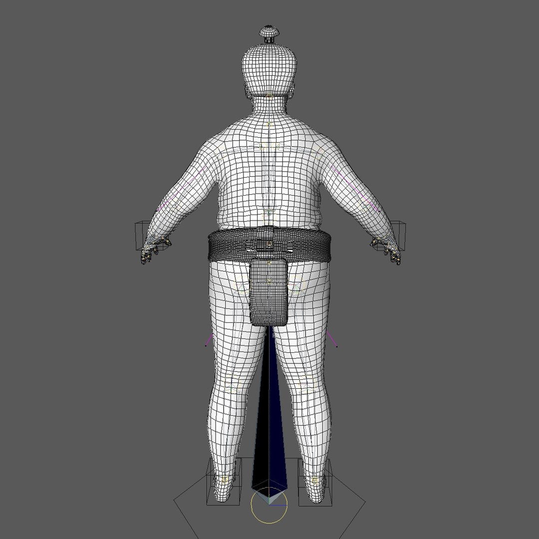Realistically rigged sumo wrestler model - TurboSquid 1258083
