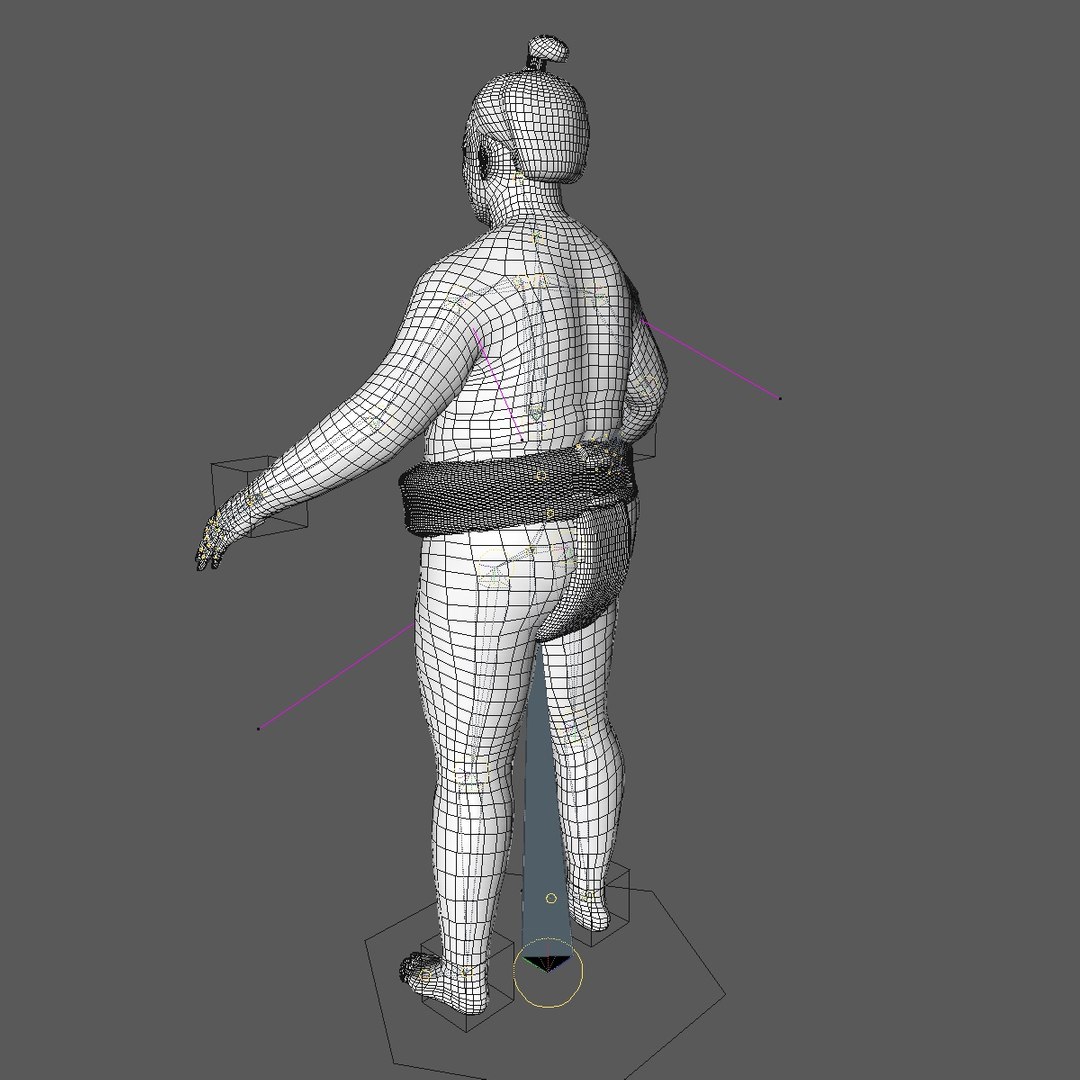 Realistically rigged sumo wrestler model - TurboSquid 1258083
