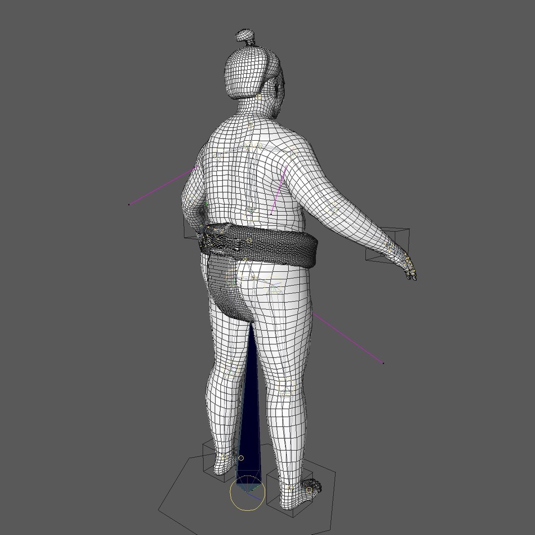 Realistically rigged sumo wrestler model - TurboSquid 1258083