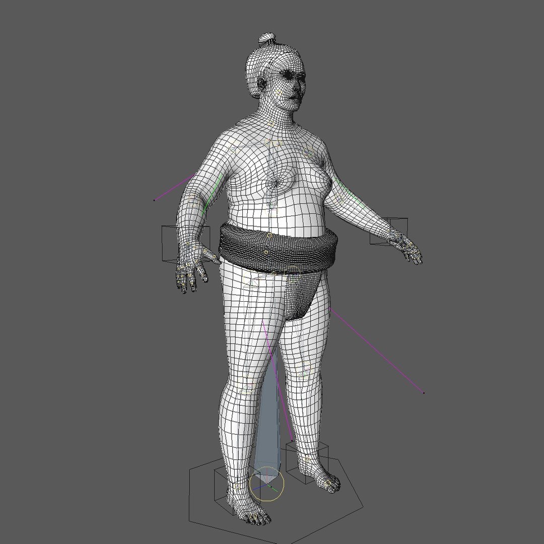 Realistically rigged sumo wrestler model - TurboSquid 1258083