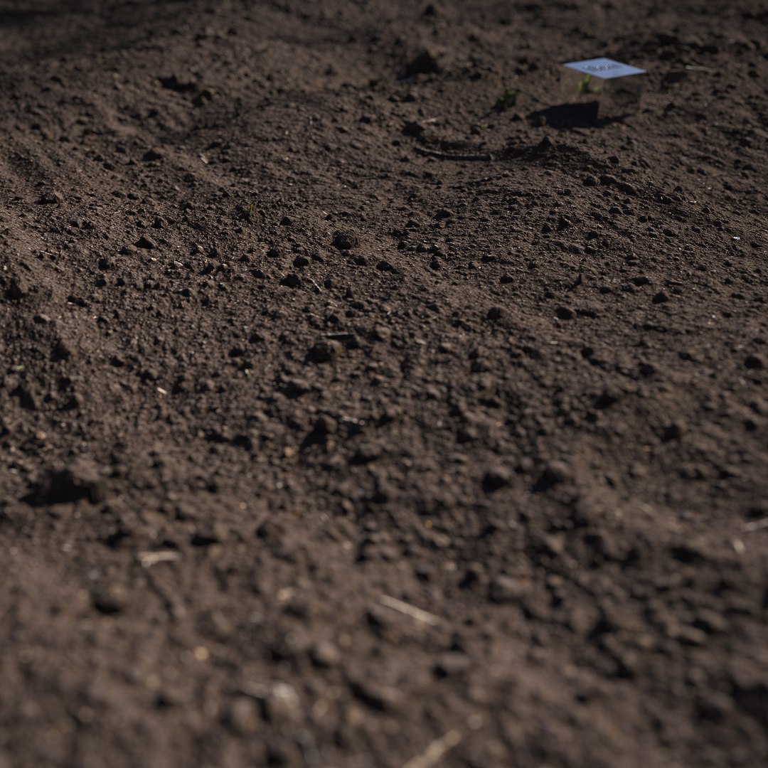 Ground 3D Model - TurboSquid 1914420