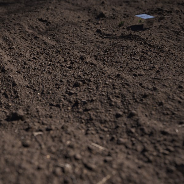 Free ground scan 3D model - TurboSquid 1317052