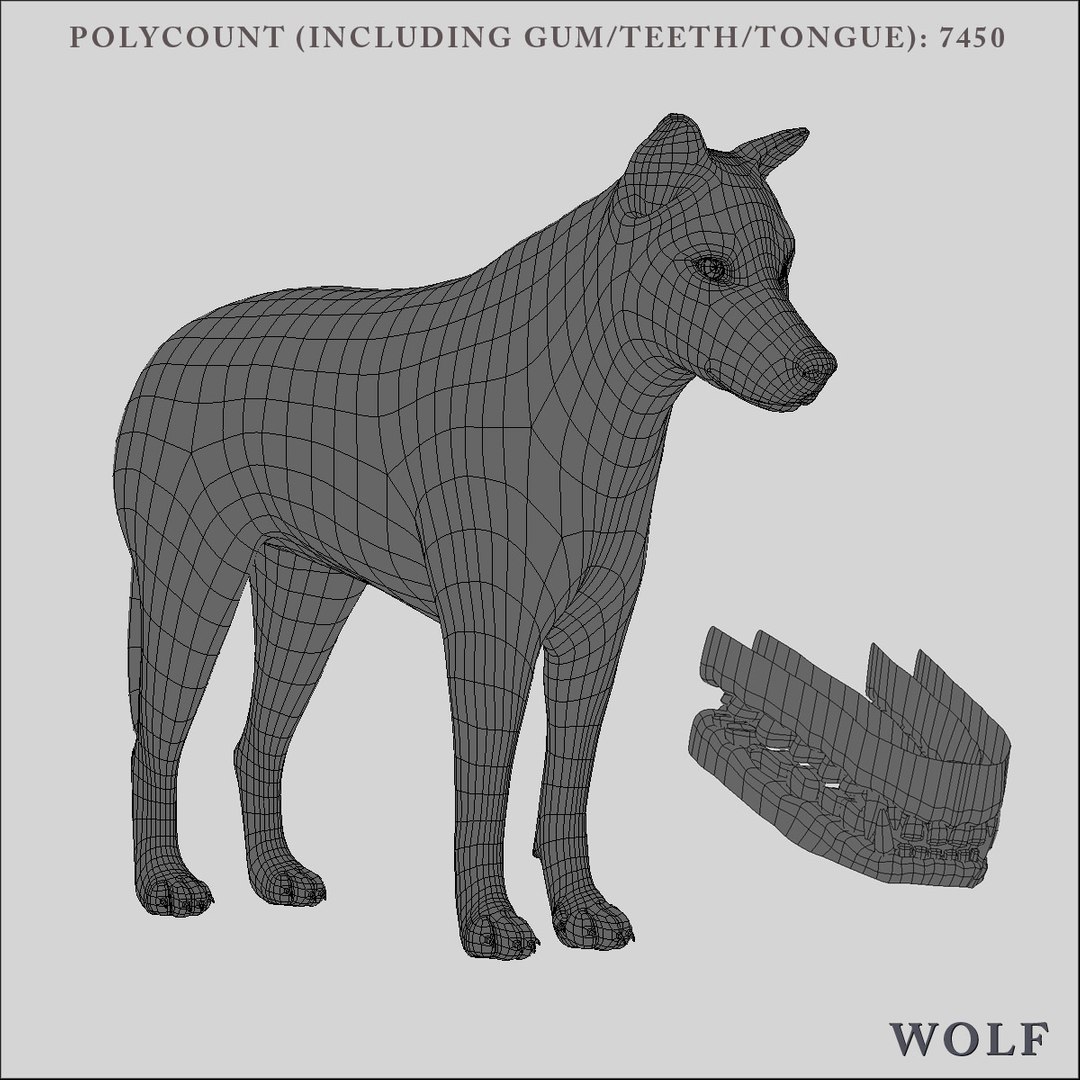 Arctic Wolf Fur 3d Model