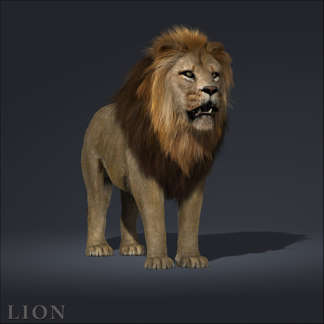 3ds max cat feline