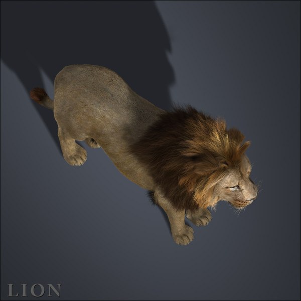 3ds max cat feline