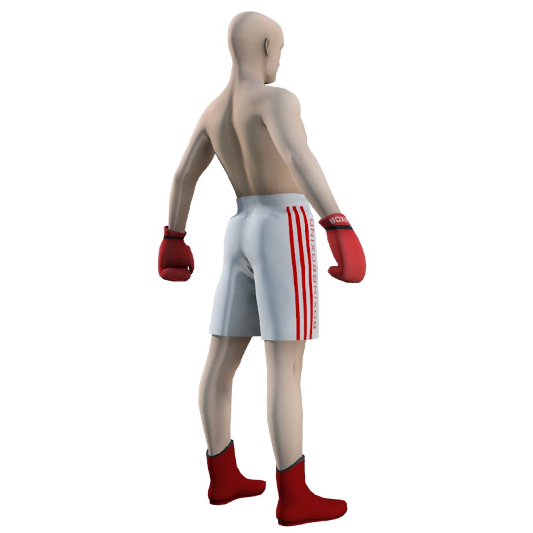 3dsmax rigged boxing