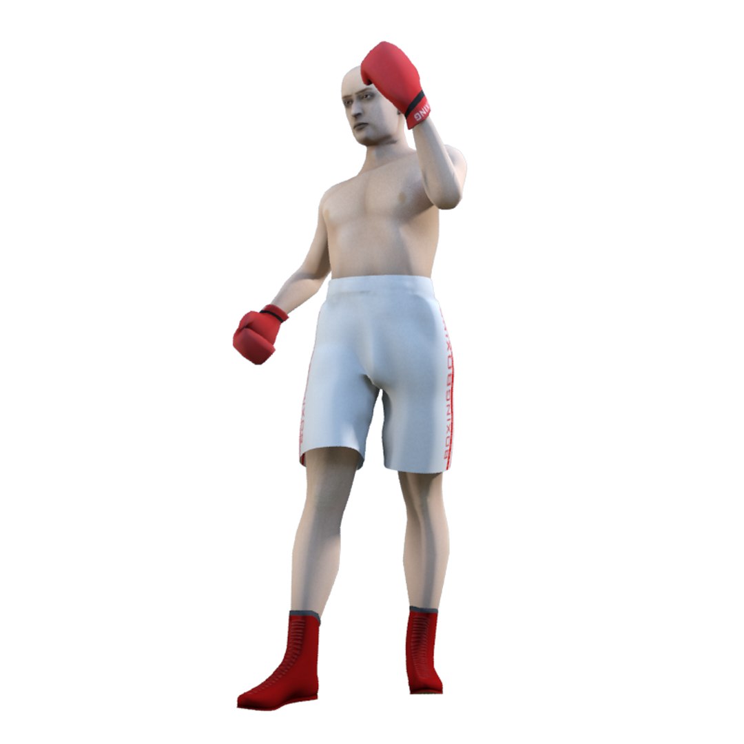 3dsmax rigged boxing