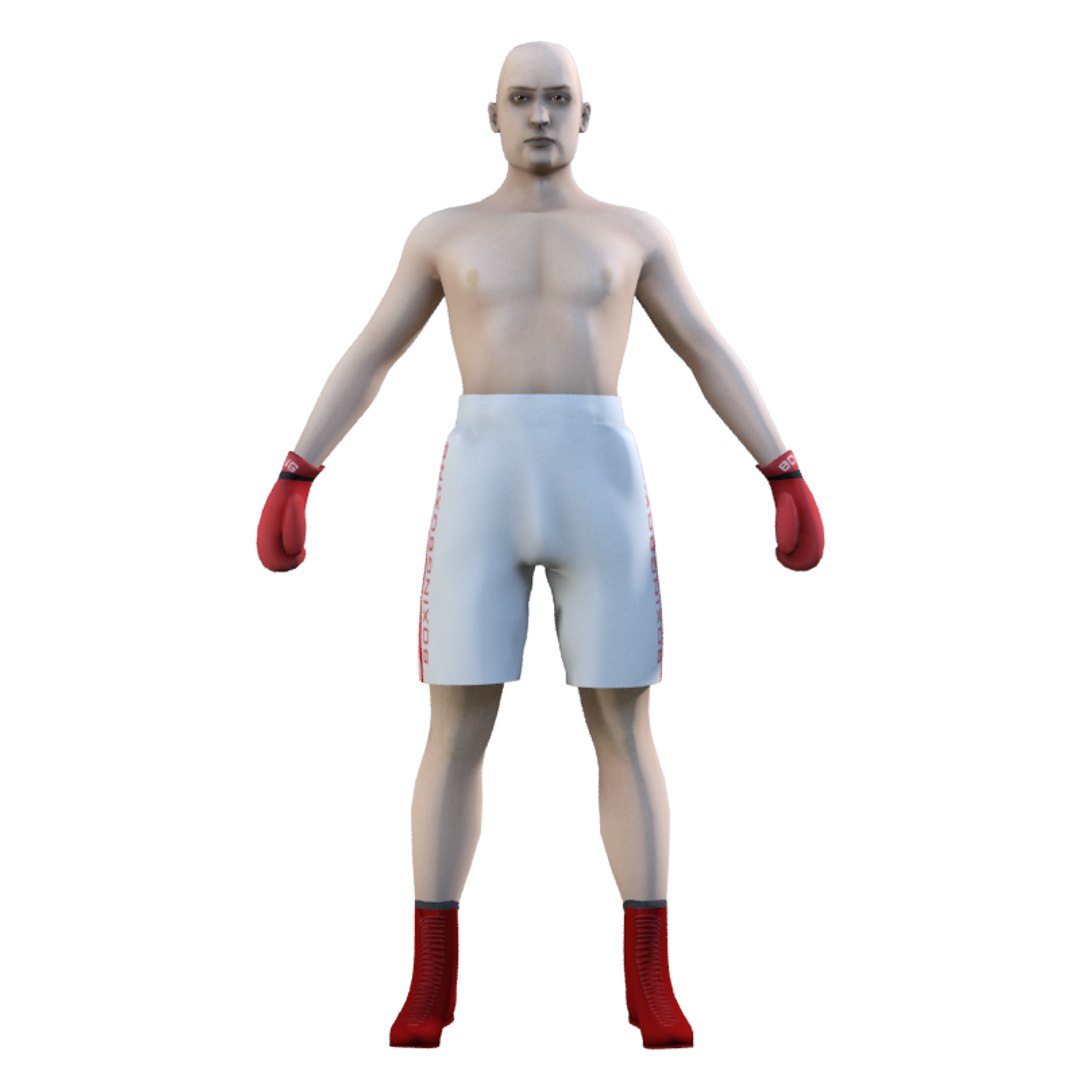 3dsmax rigged boxing