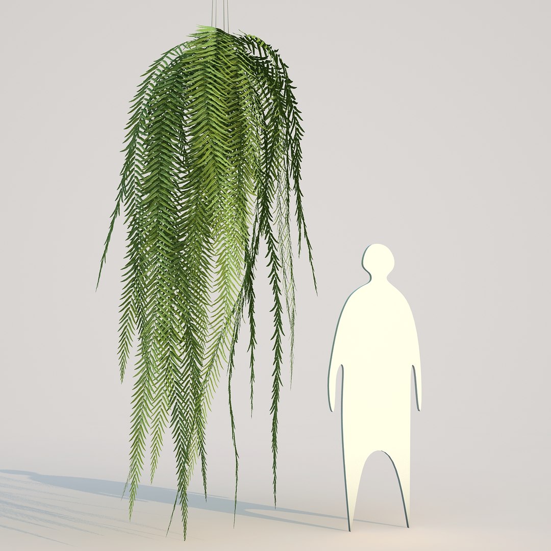3 Plants 3d Max