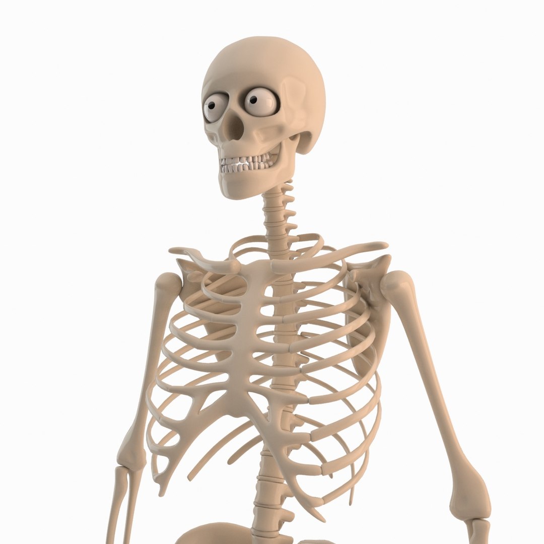 Max Cartoon Skeleton Rigged