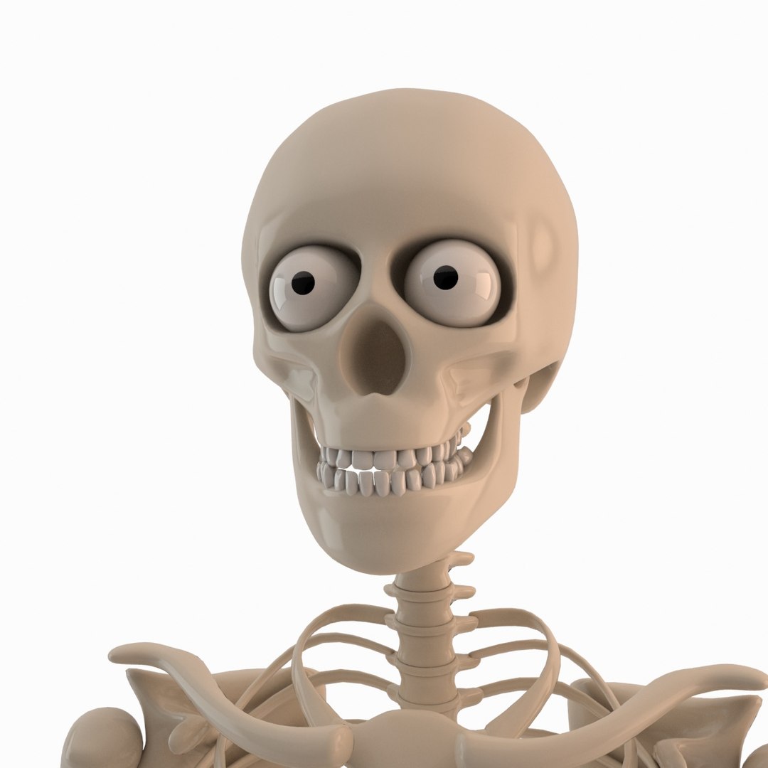 Max Cartoon Skeleton Rigged