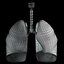Lung Torso 3d Model
