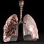 Lung Torso 3d Model