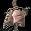 Lung Torso 3d Model