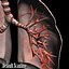 Lung Torso 3d Model