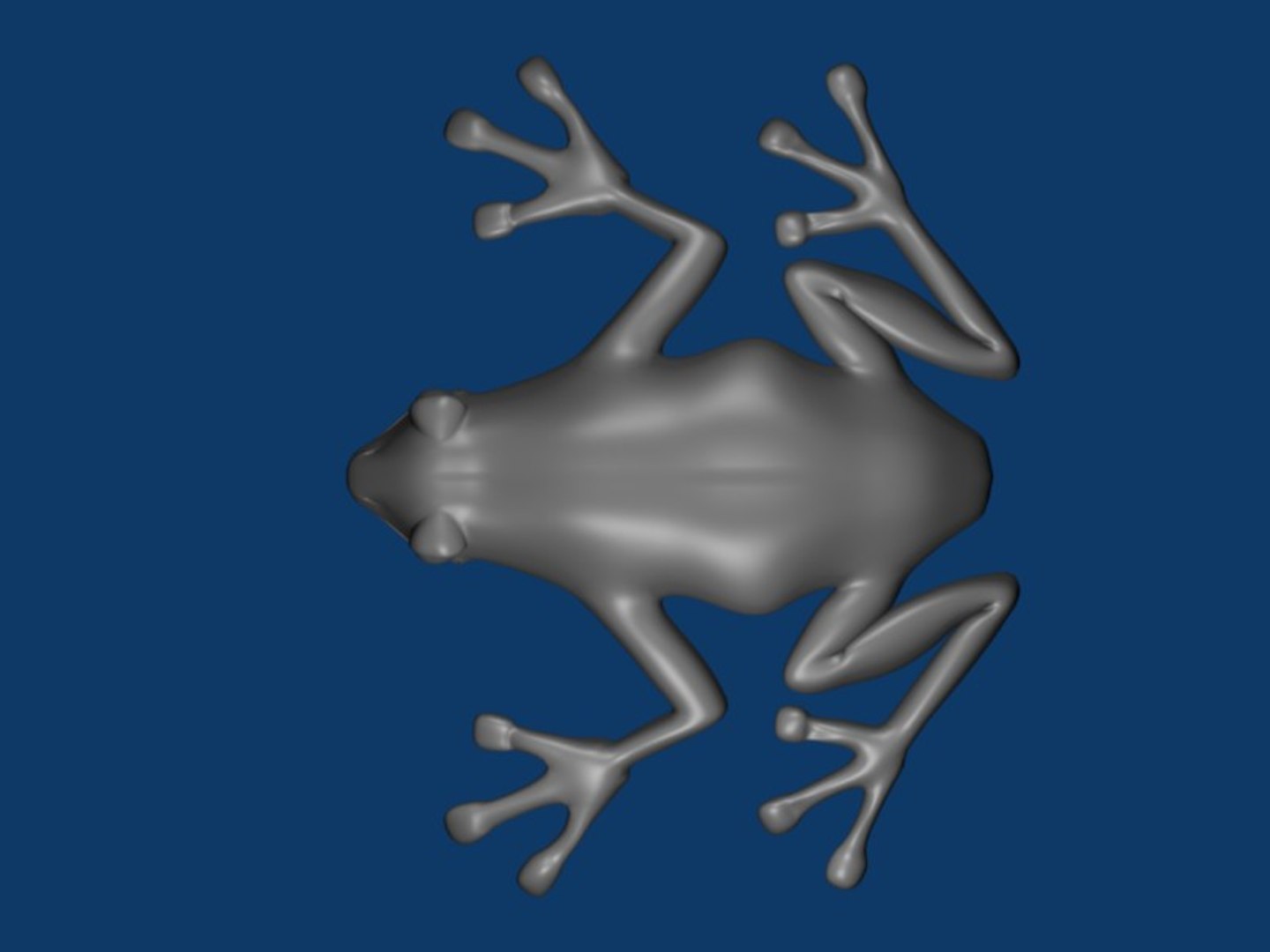 3d Frog Model