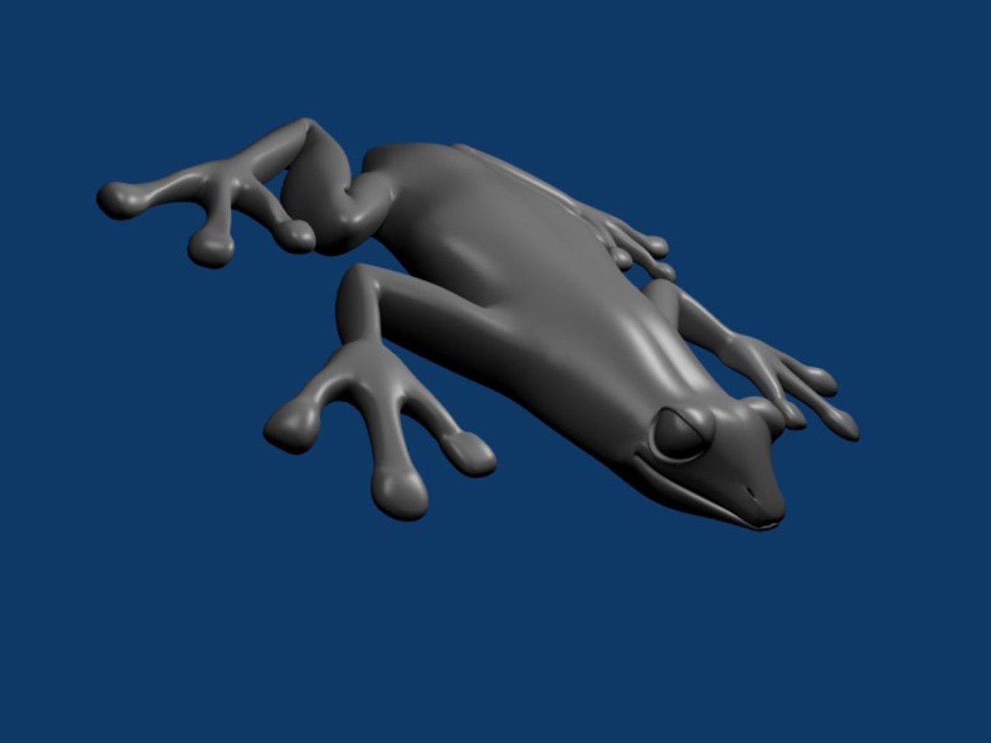 3d Frog Model