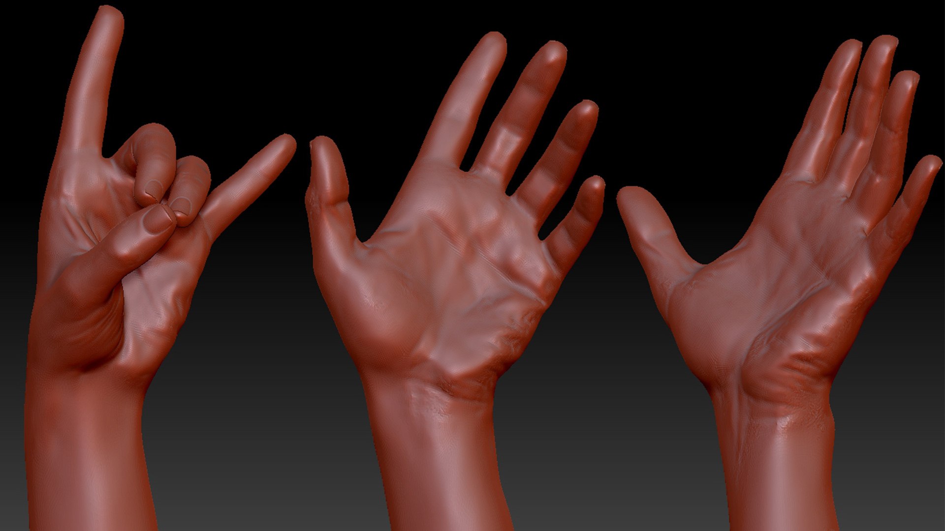 3D 16 Posed Male Hand Scans - TurboSquid 2190645