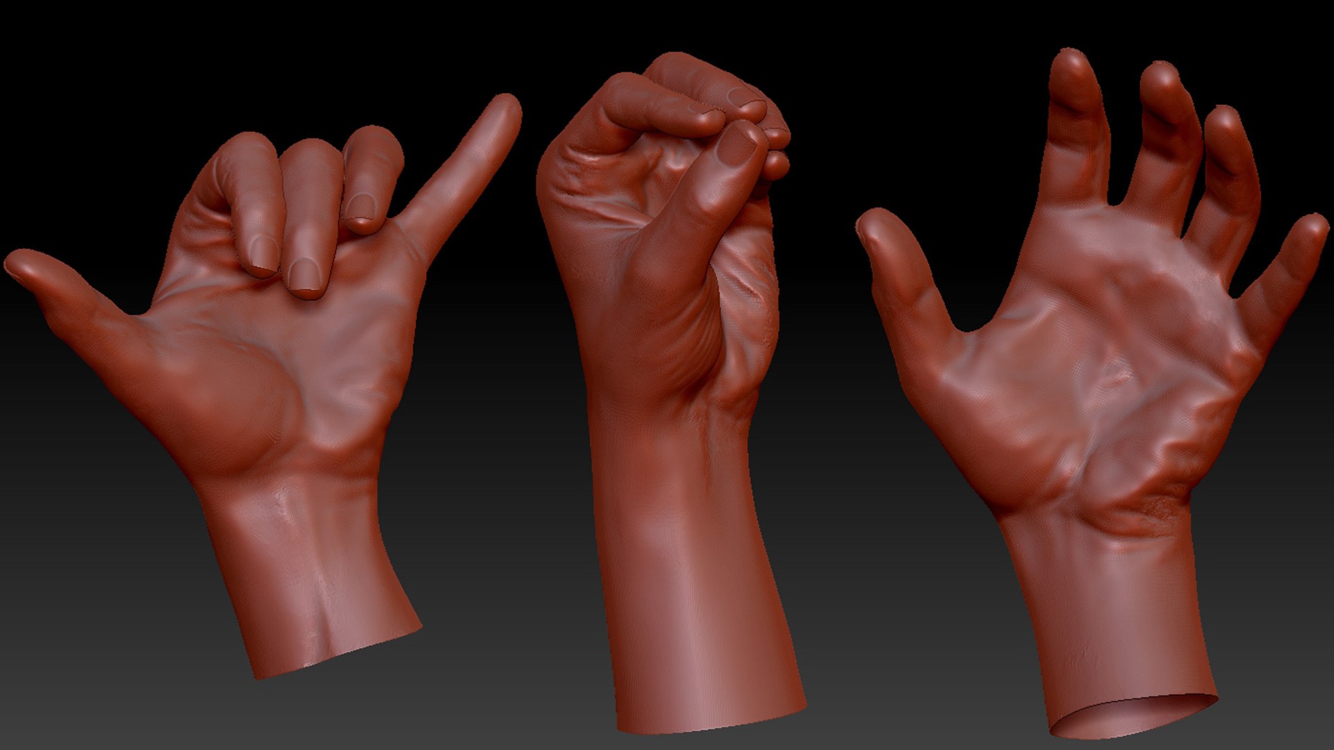 3D 16 Posed Male Hand Scans - TurboSquid 2190645