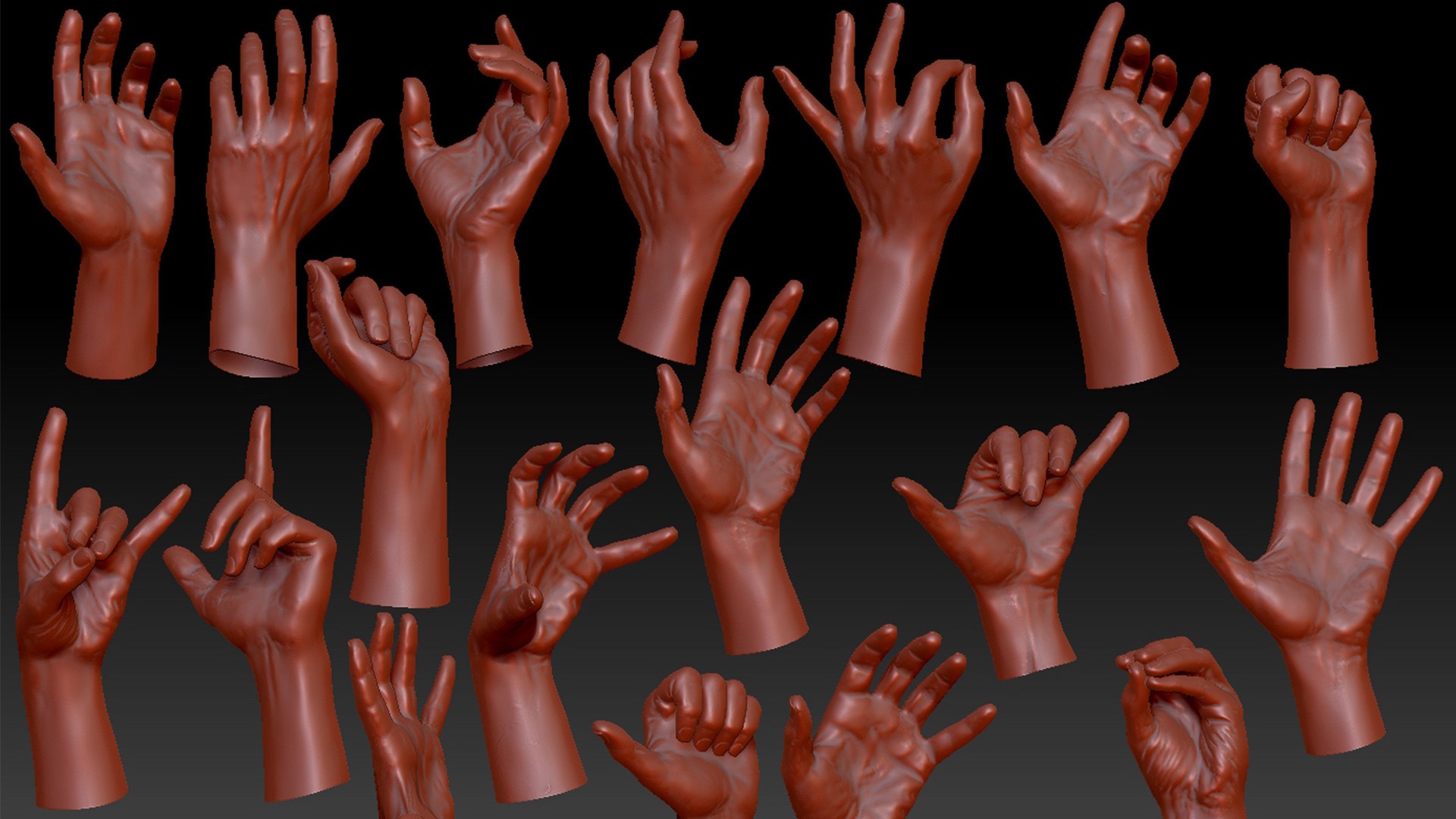 3D 16 Posed Male Hand Scans - TurboSquid 2190645
