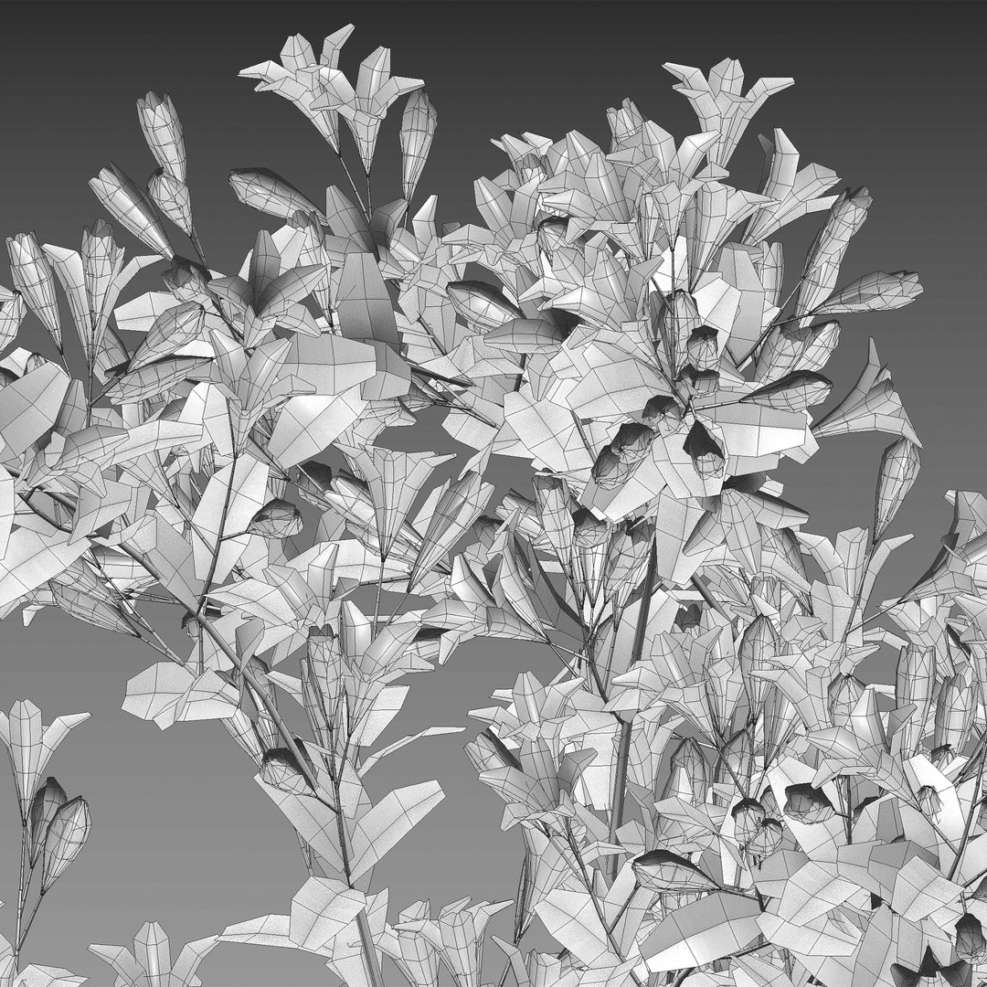 Weigela Florida 01 3D Model - TurboSquid 2396960