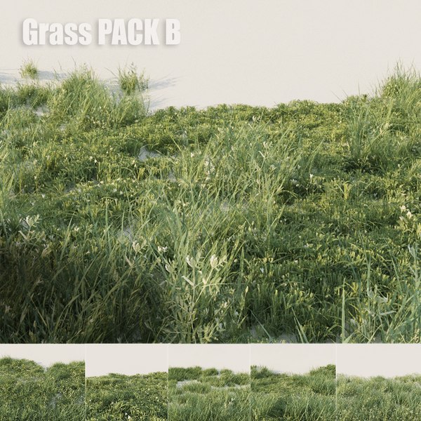 reed grasses dry 3d c4d