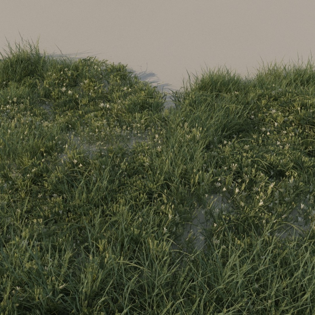 3D Grass Pack B - TurboSquid 1293077