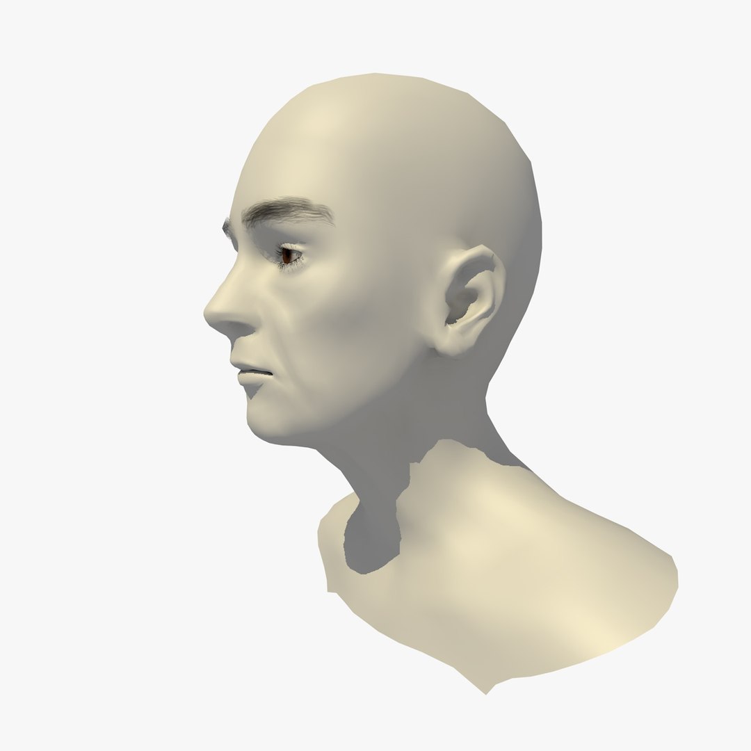 3D Realistic Head Base Mesh Model - TurboSquid 1439703
