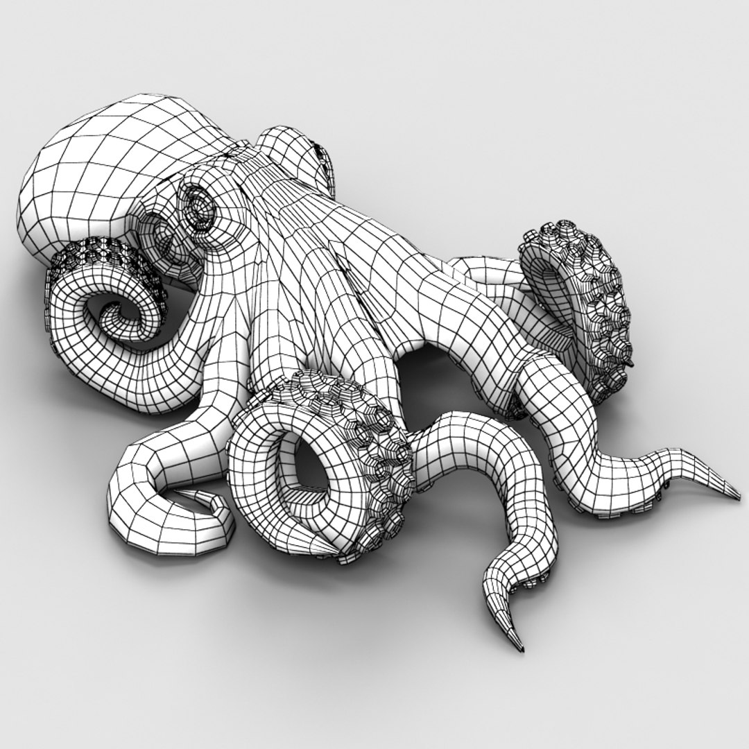 3d Model Octopus
