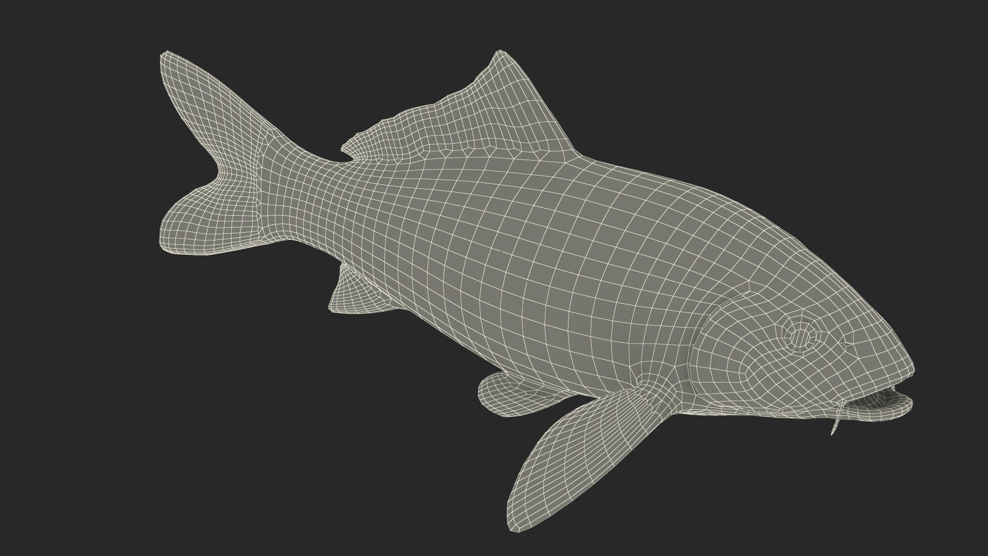 3D Harivake Koi Fish Rigged For Maya - TurboSquid 2145613