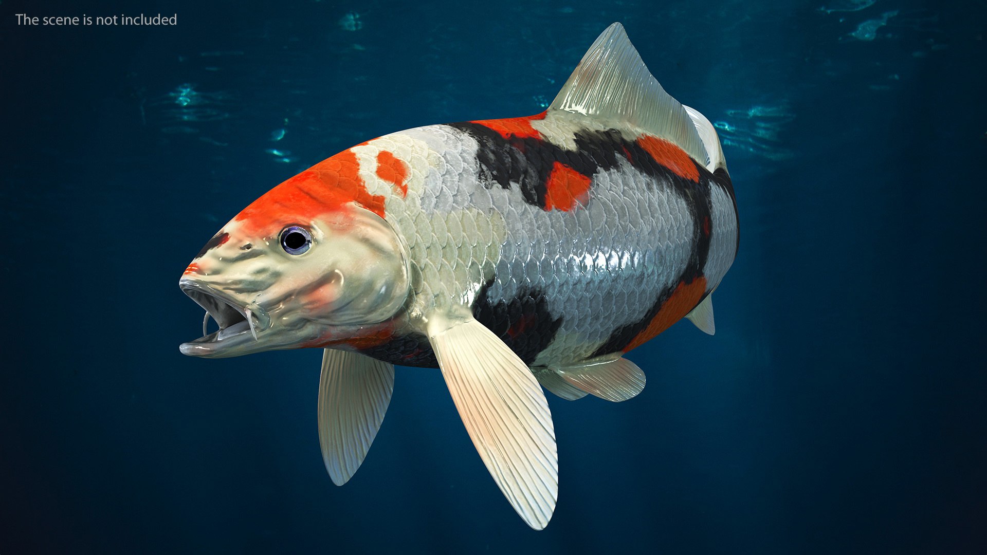 3D Harivake Koi Fish Rigged For Maya - TurboSquid 2145613
