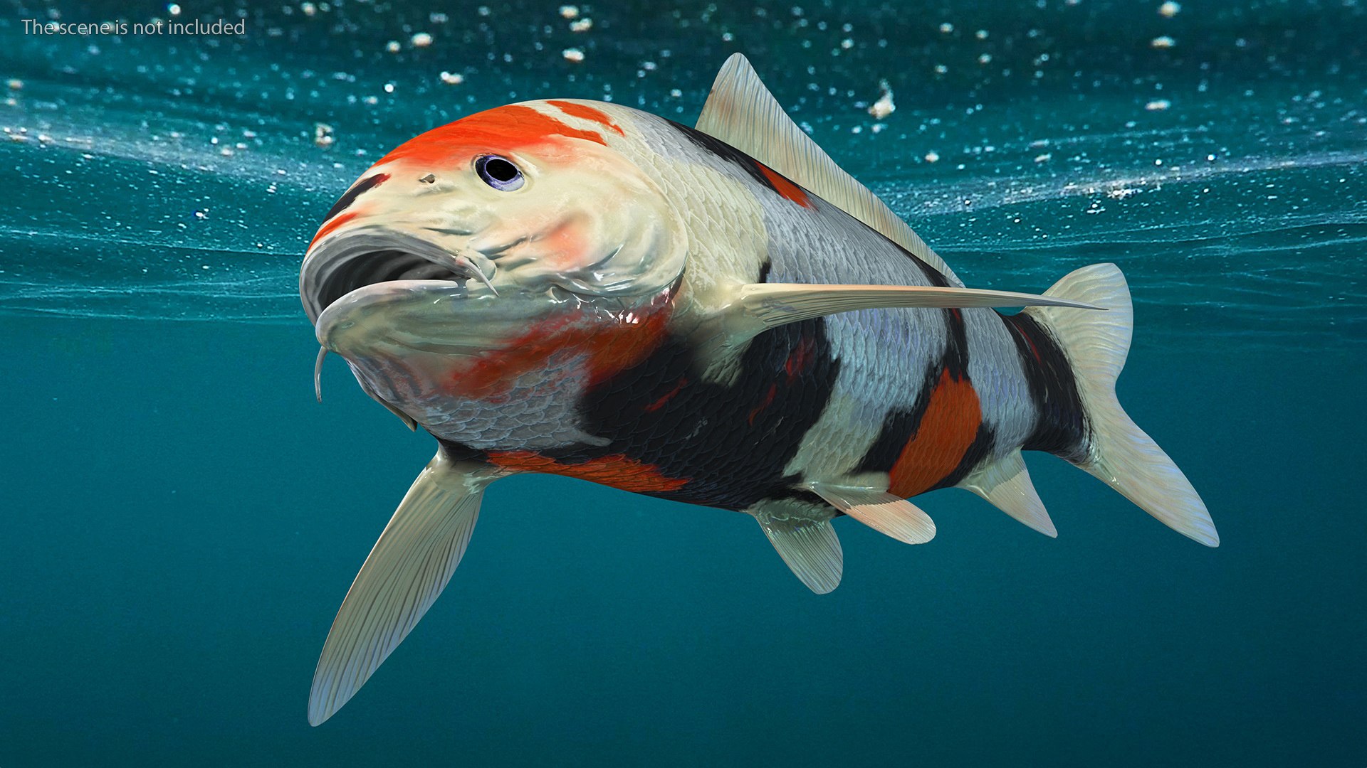 3D Harivake Koi Fish Rigged For Maya - TurboSquid 2145613