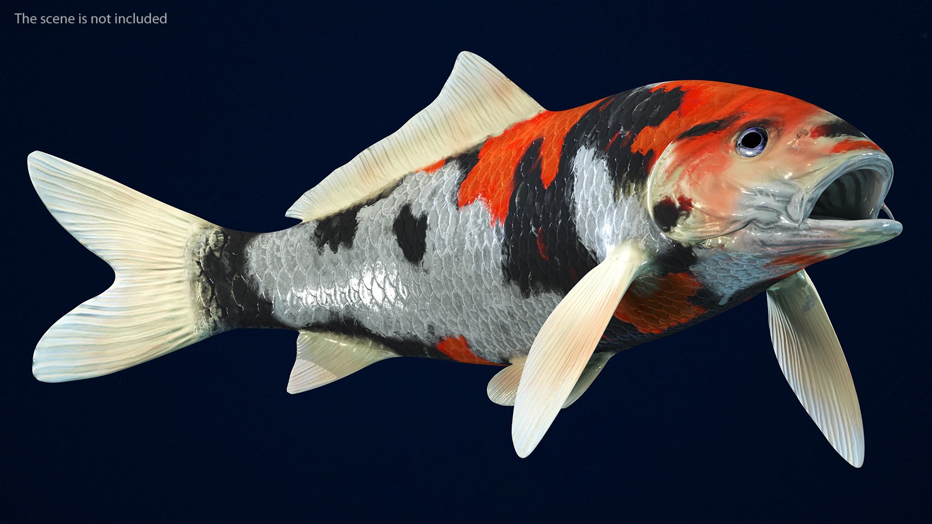 3D Harivake Koi Fish Rigged For Maya - TurboSquid 2145613