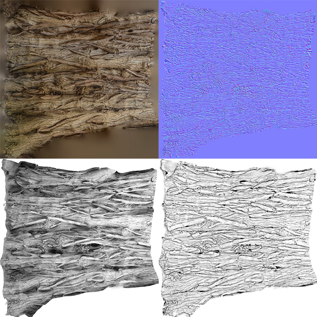 Scanned Tree Bark Obj