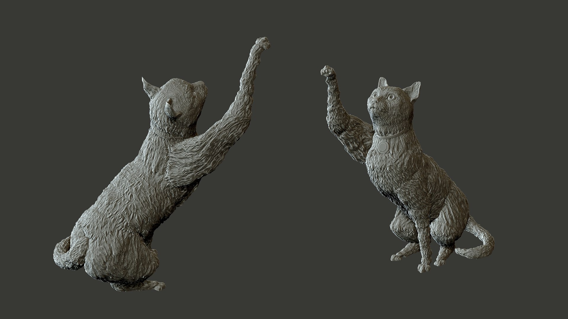 Cat 3D Model - TurboSquid 1741817
