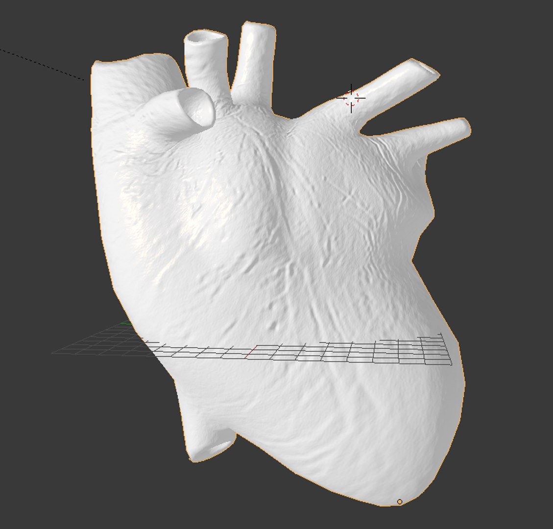 Blender Heart Beating