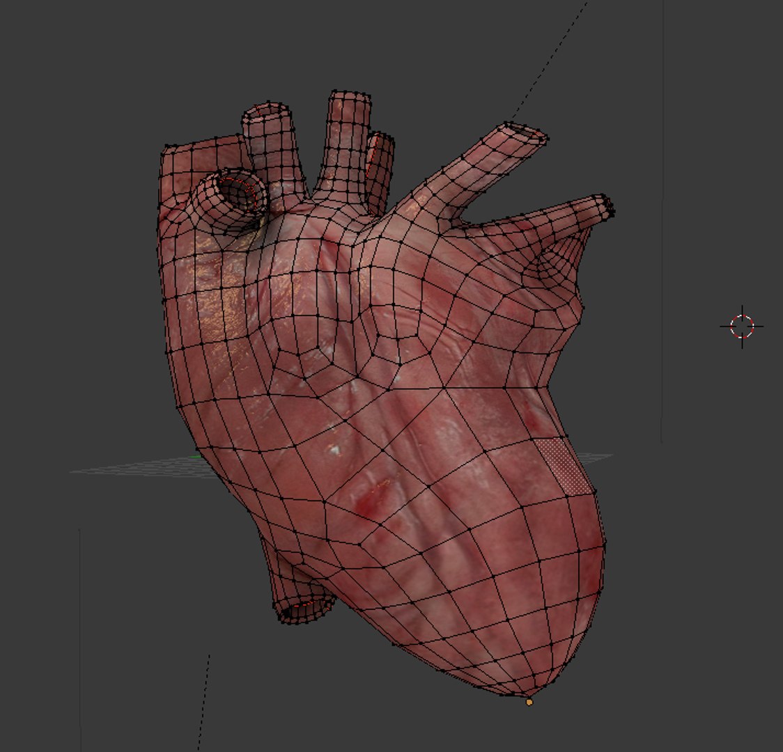 Blender Heart Beating