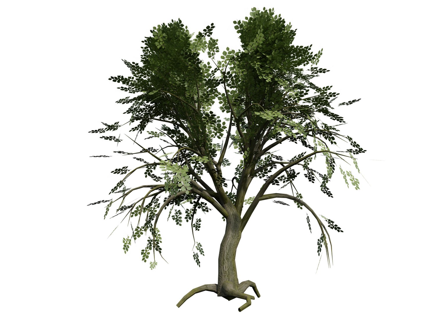 3D Swamp Nature - TurboSquid 1535203