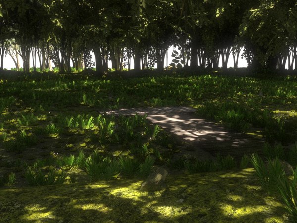3D Swamp Models | TurboSquid