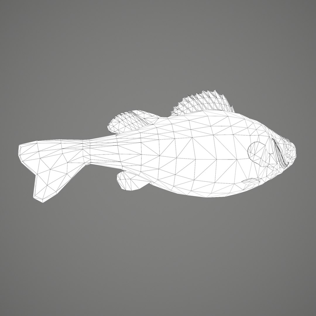 3D perch scaled model - TurboSquid 1605103