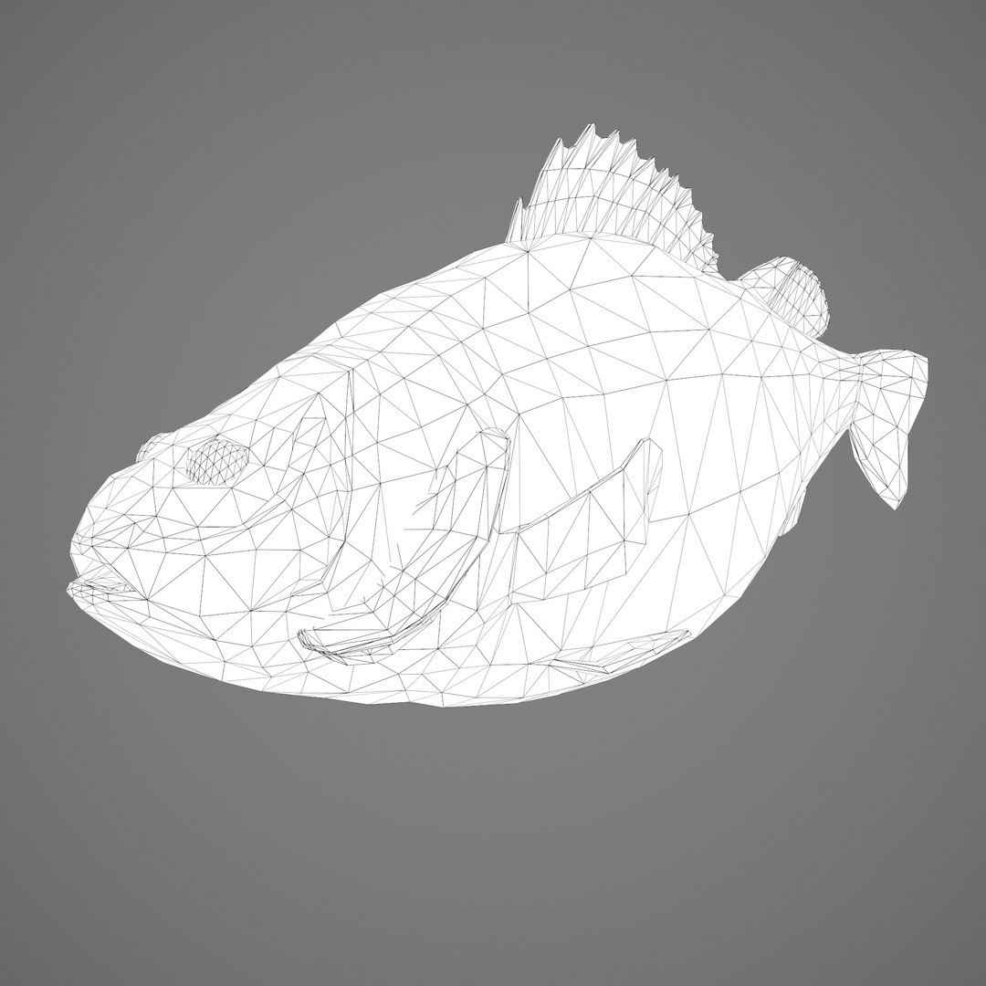 3D perch scaled model - TurboSquid 1605103